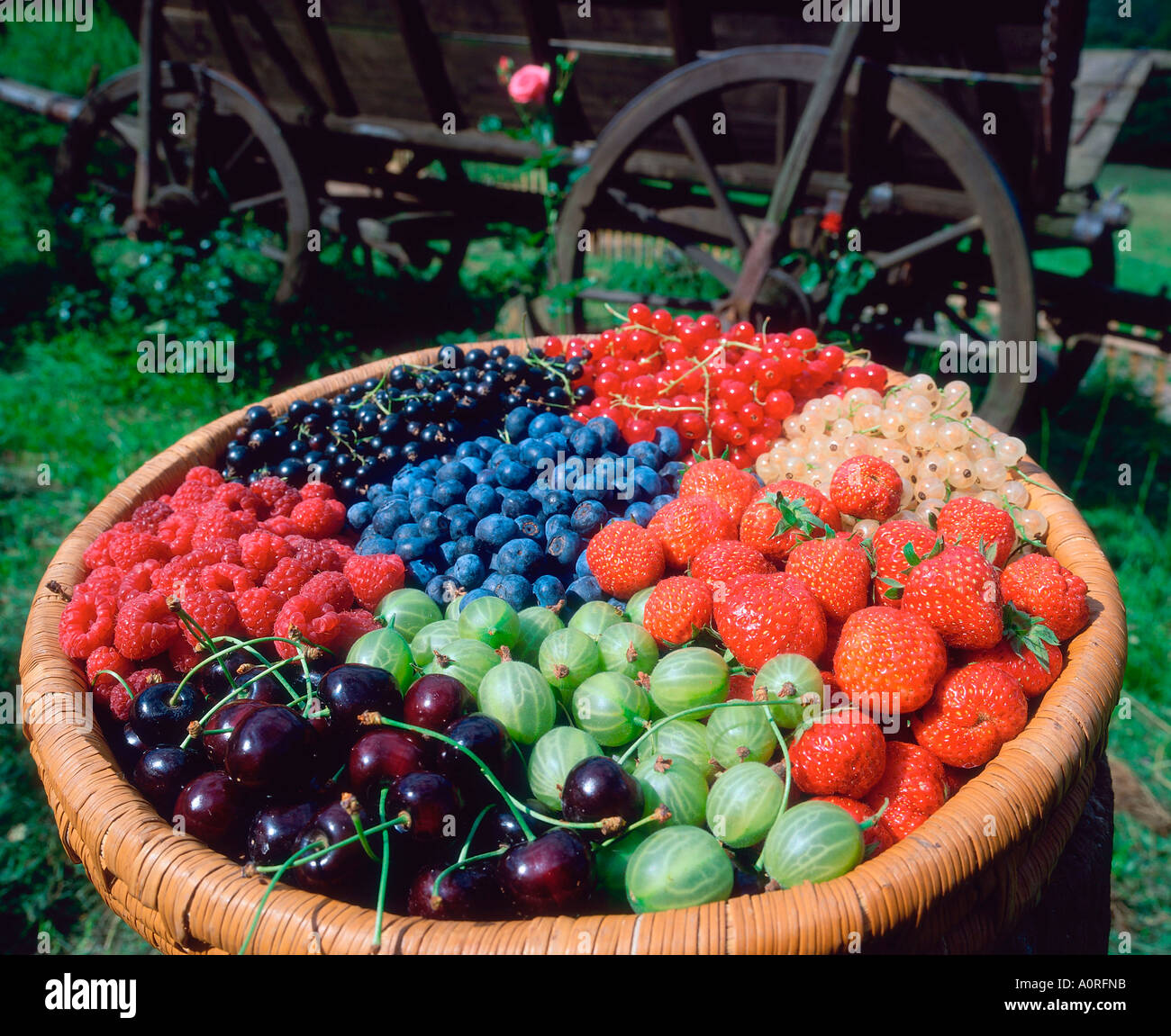 Fruits in basket Stock Photo - Alamy