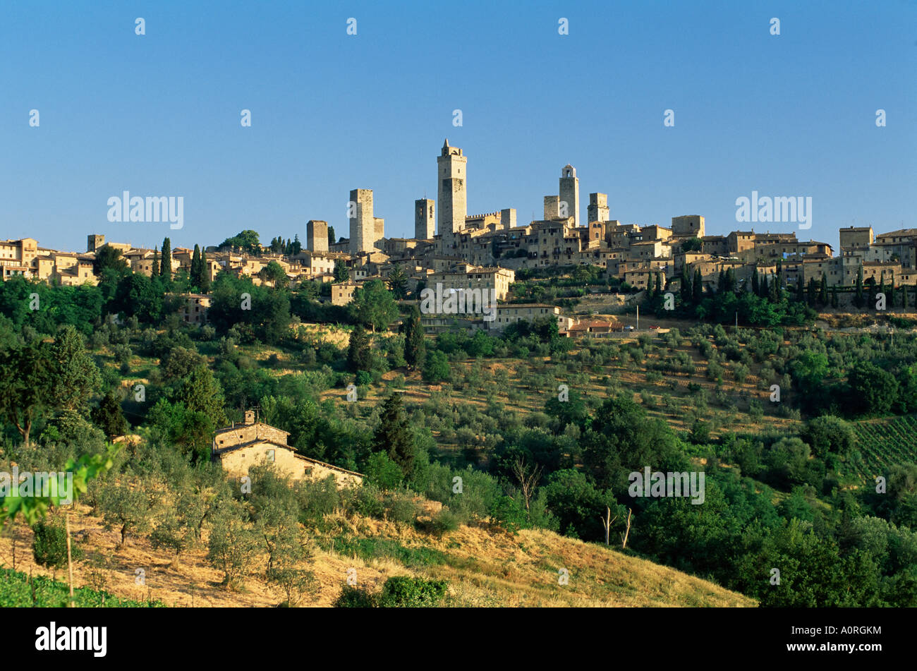 View to town across agricultural landscape San Gimignano Tuscany Italy ...