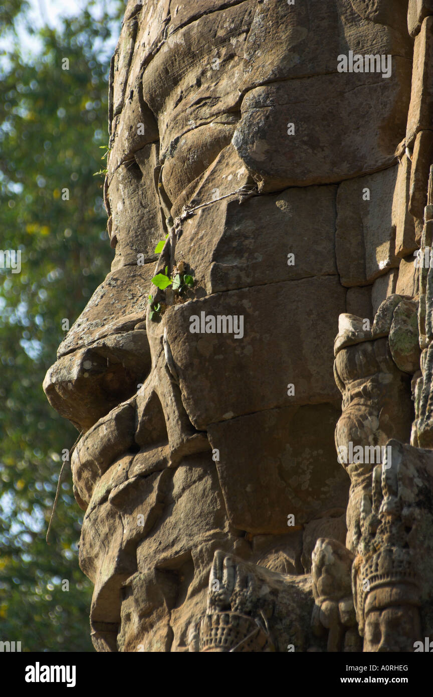 Stone statuary of human face Ta Prohm temple Angkor UNESCO World ...