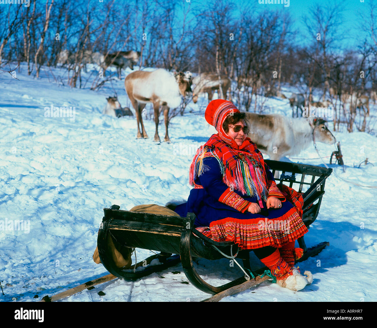 Schlitten hi-res stock photography and images - Alamy