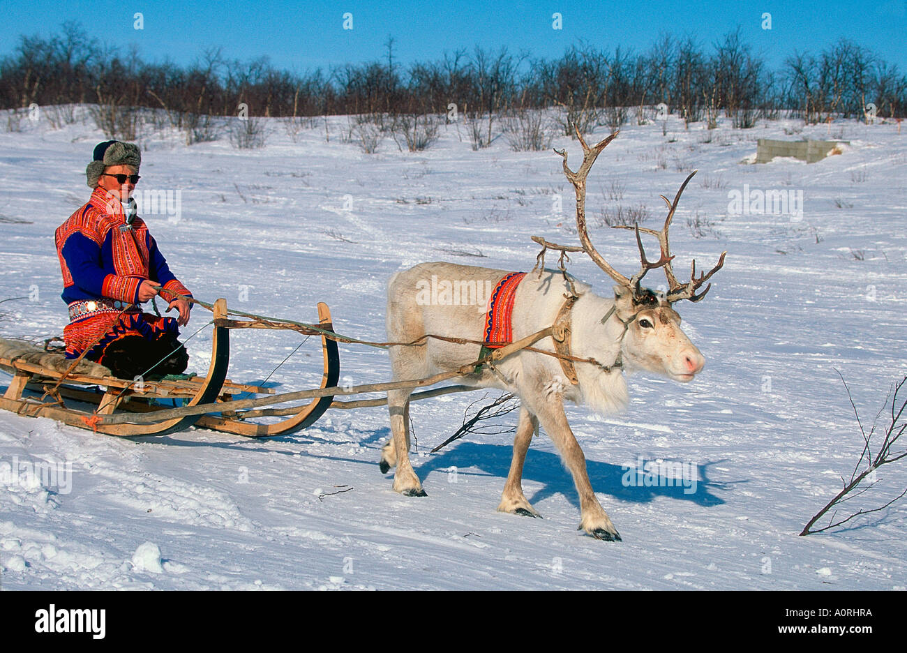 Reindeer sledge norway hi-res stock photography and images - Alamy