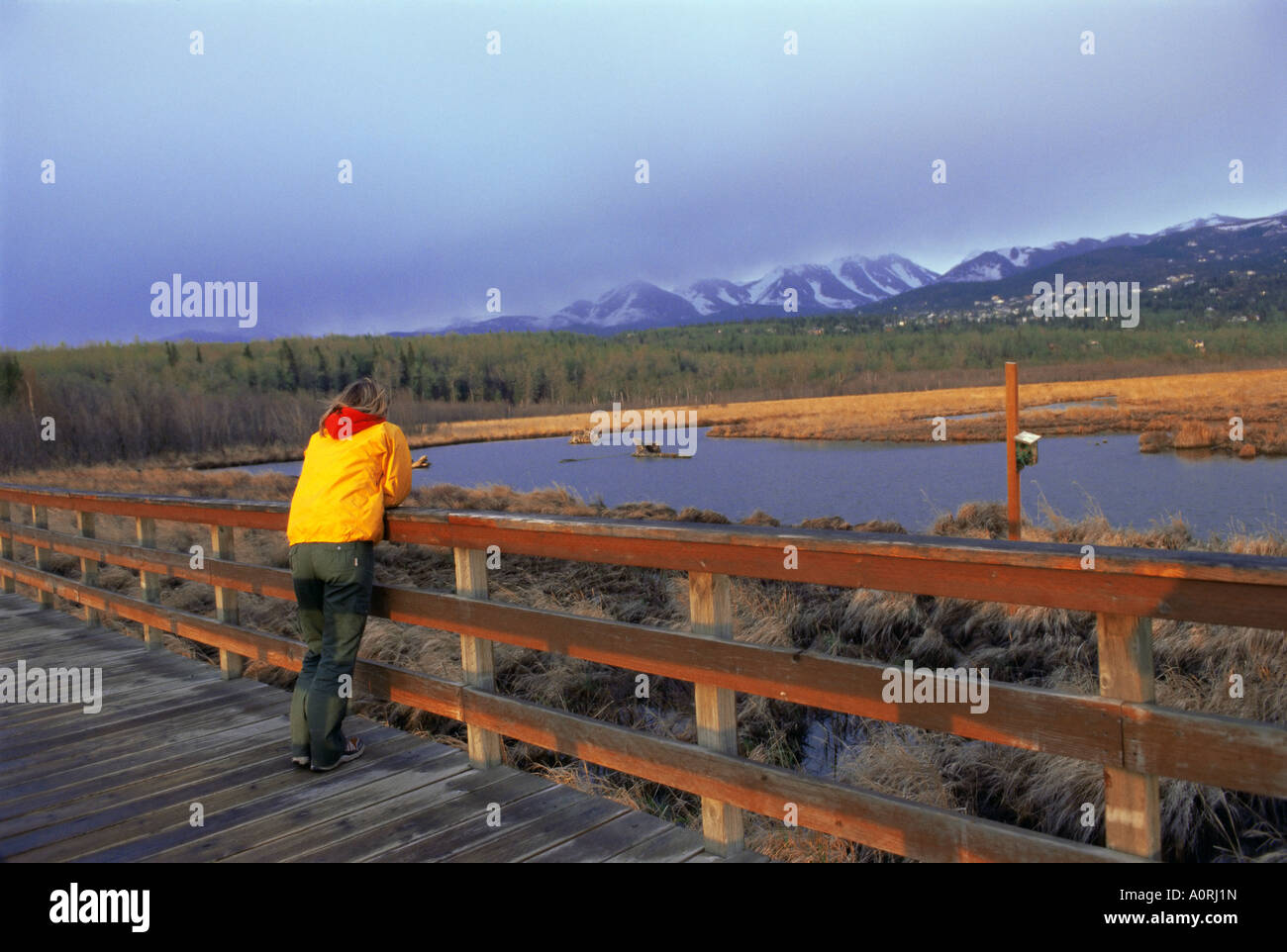 Bird sanctuary at Potter s Marsh Anchorage Alaska United States of ...