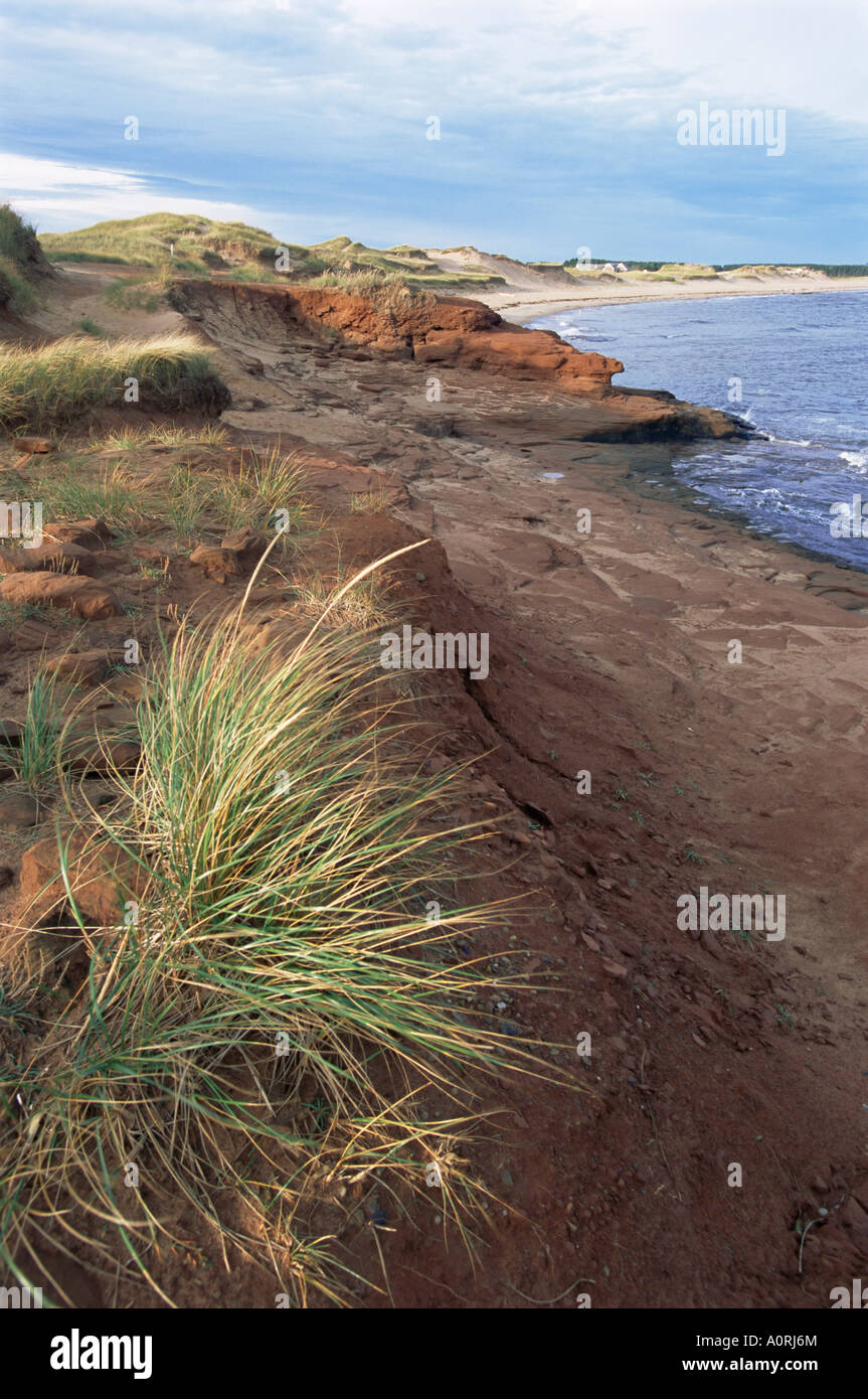 Cavendish coast Prince Edward Island Canada North America Stock Photo ...