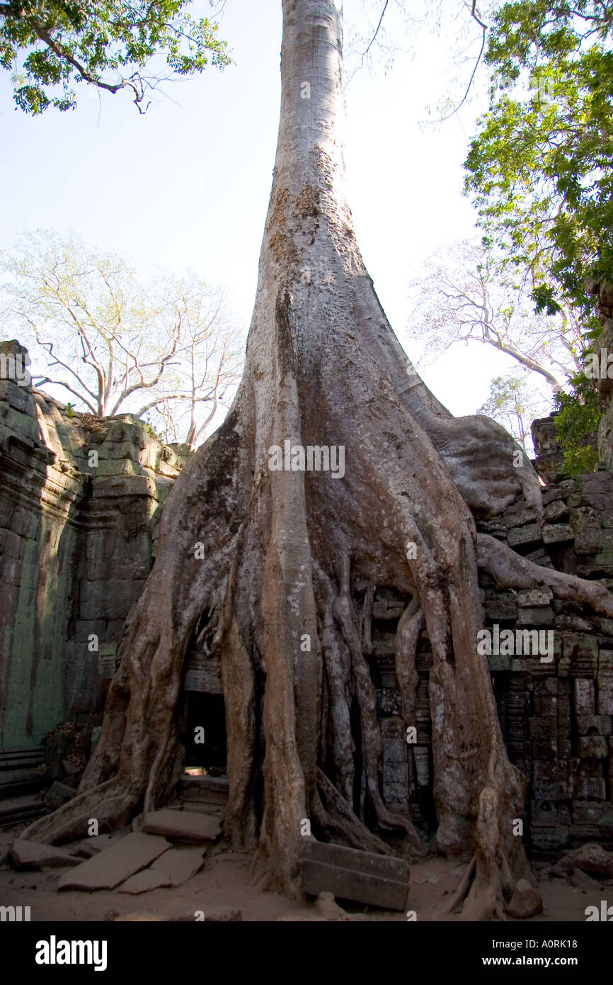 Building That is Almost Gone Stock Photo - Alamy