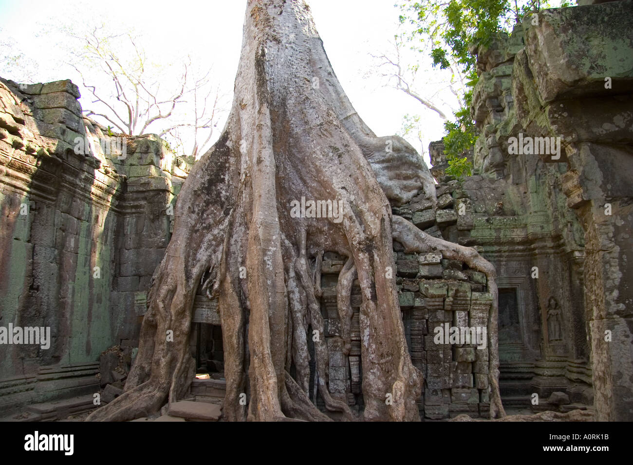 Melting Wax Roots on Building Stock Photo - Alamy
