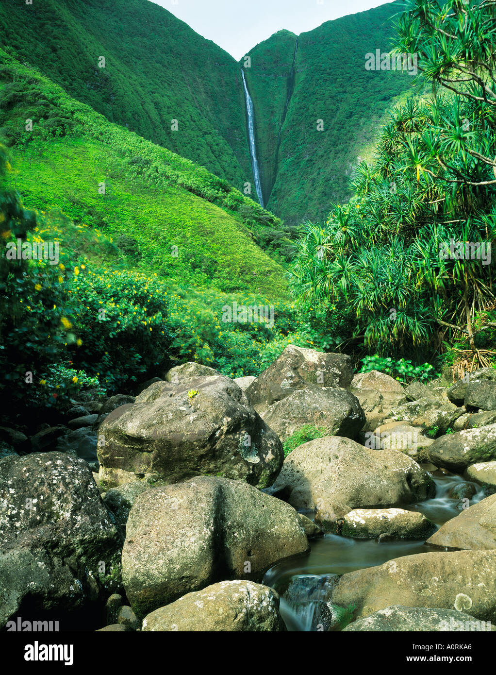 Papalaua hi-res stock photography and images - Alamy
