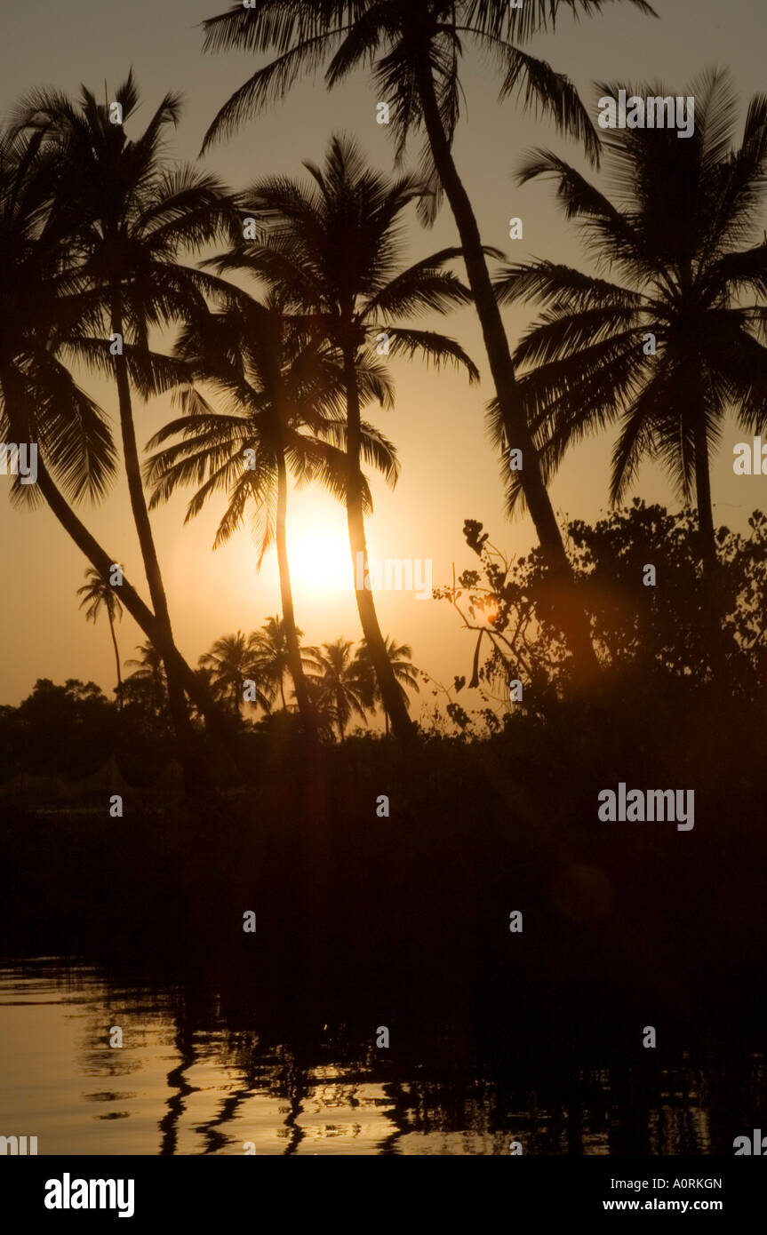Backwater of goa hi-res stock photography and images - Alamy