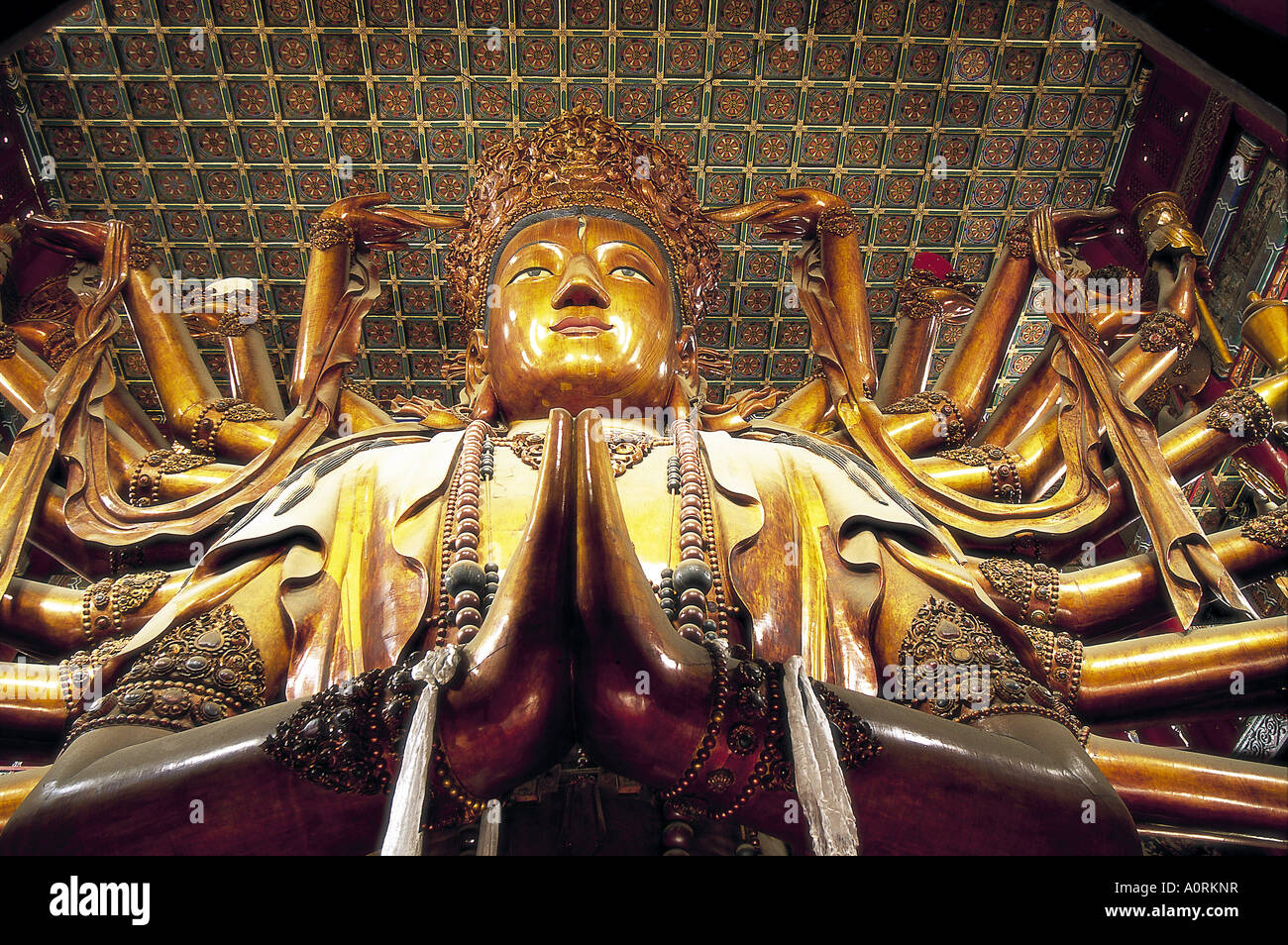 Thousand arms hi-res stock photography and images - Alamy