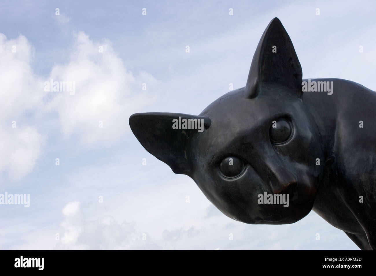 Songkhla cat mouse hi-res stock photography and images - Alamy