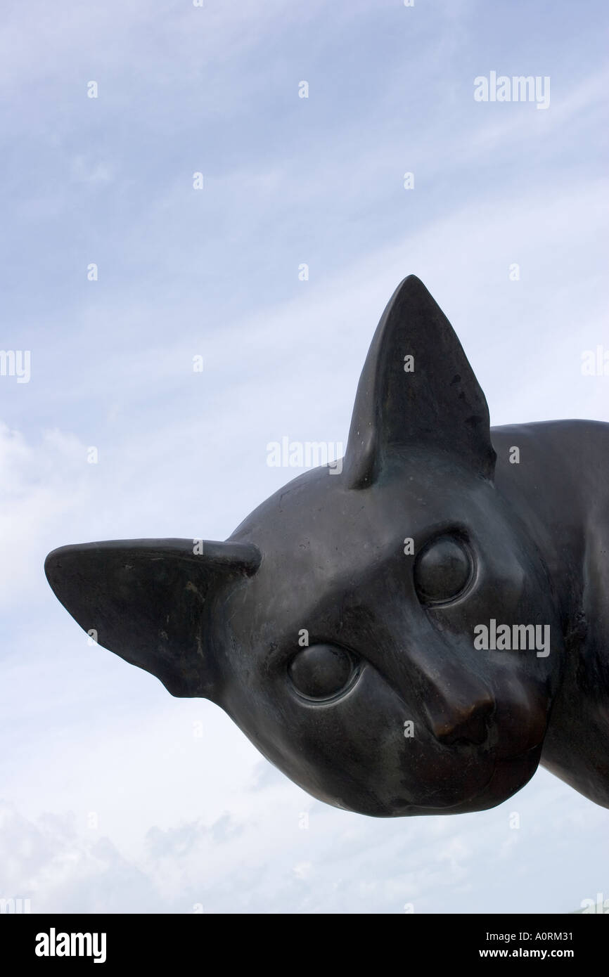 Songkhla cat mouse hi-res stock photography and images - Alamy