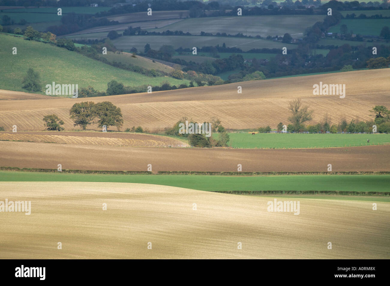 Fields in autumn Meon Valley Hampshire England United Kingdom Europe ...