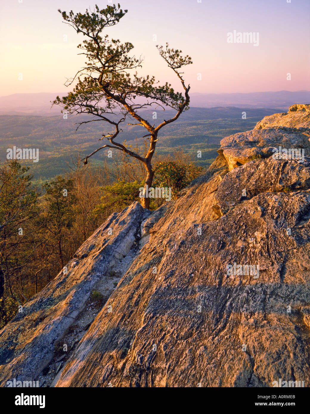 Cheaha Mountain Cheaha Mountain State Park Cheaha Wilderness Talladega ...