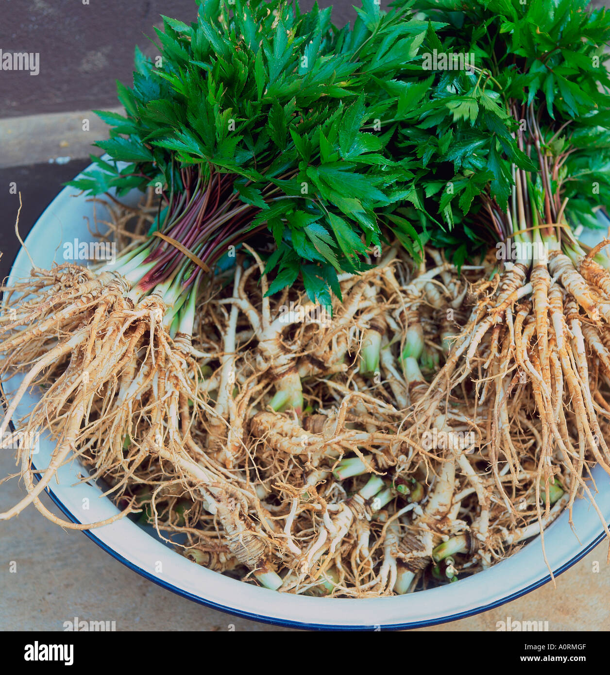 Red korean ginseng hi-res stock photography and images - Alamy