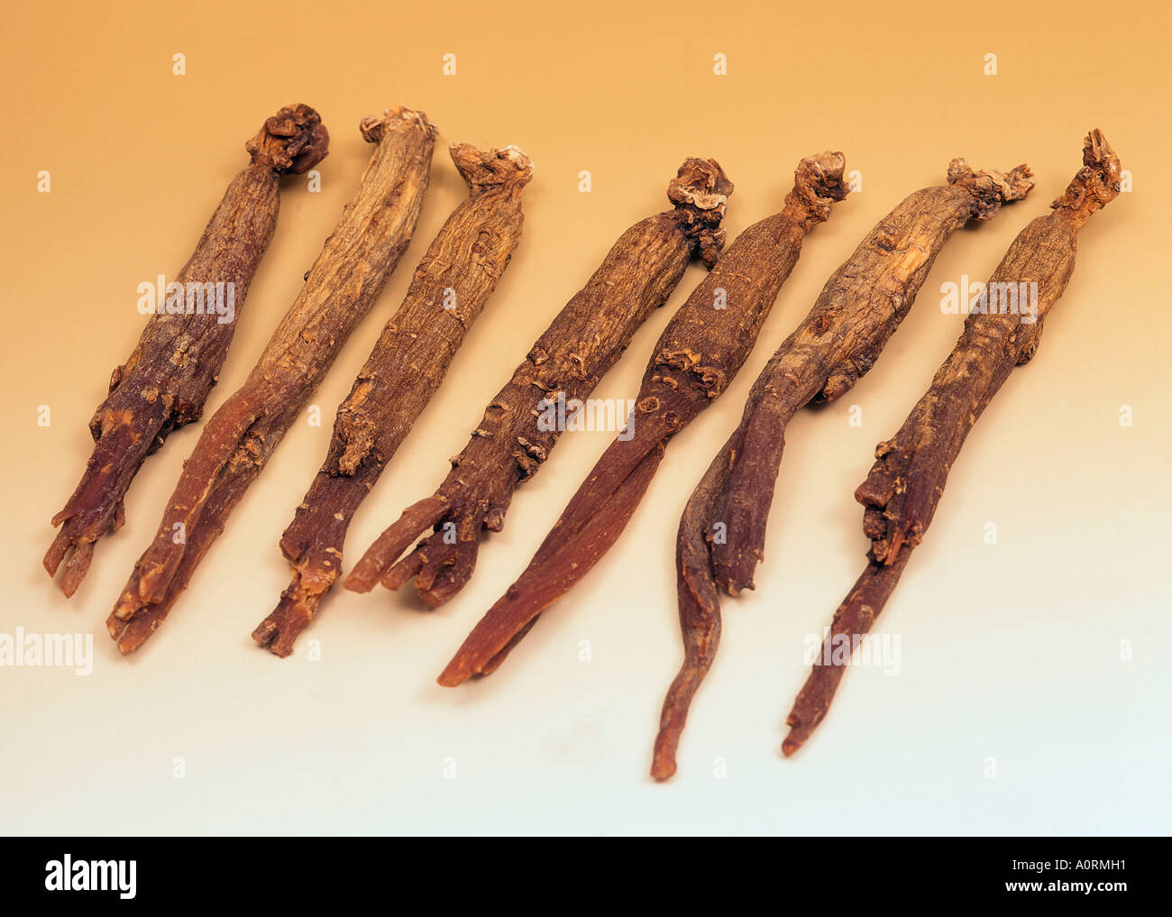 Red ginseng hi-res stock photography and images - Alamy