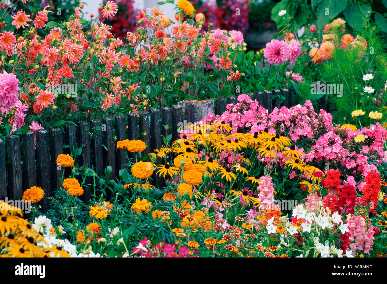Bed of flowers Stock Photo - Alamy