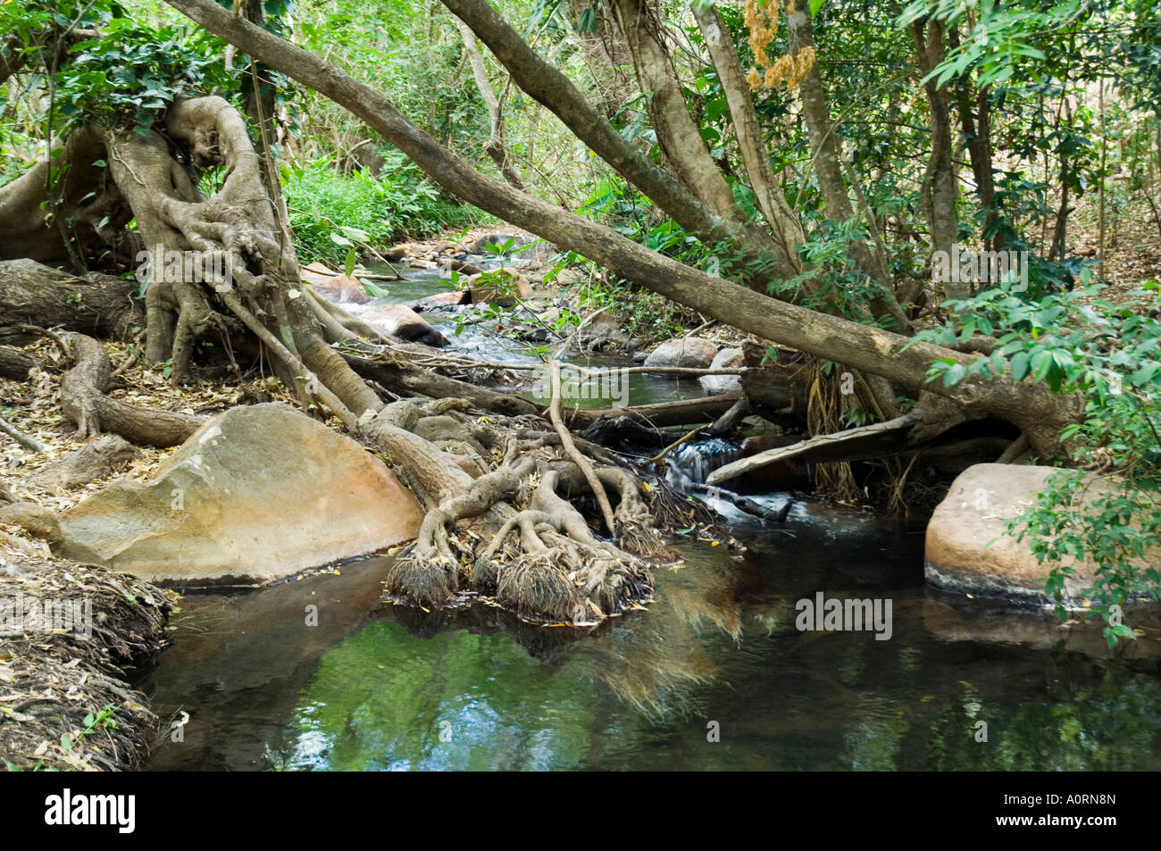 Rincon de la Vieja National Park at foot of Rincon Volcano Guanacaste ...