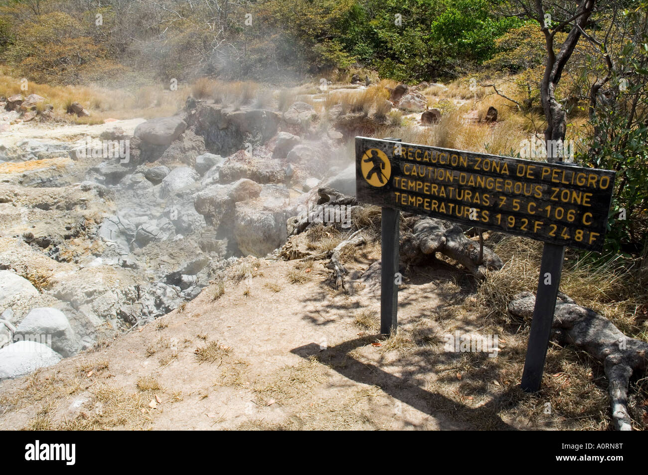 Steaming volcanic mud pools Rincon de la Vieja National Park at foot of ...