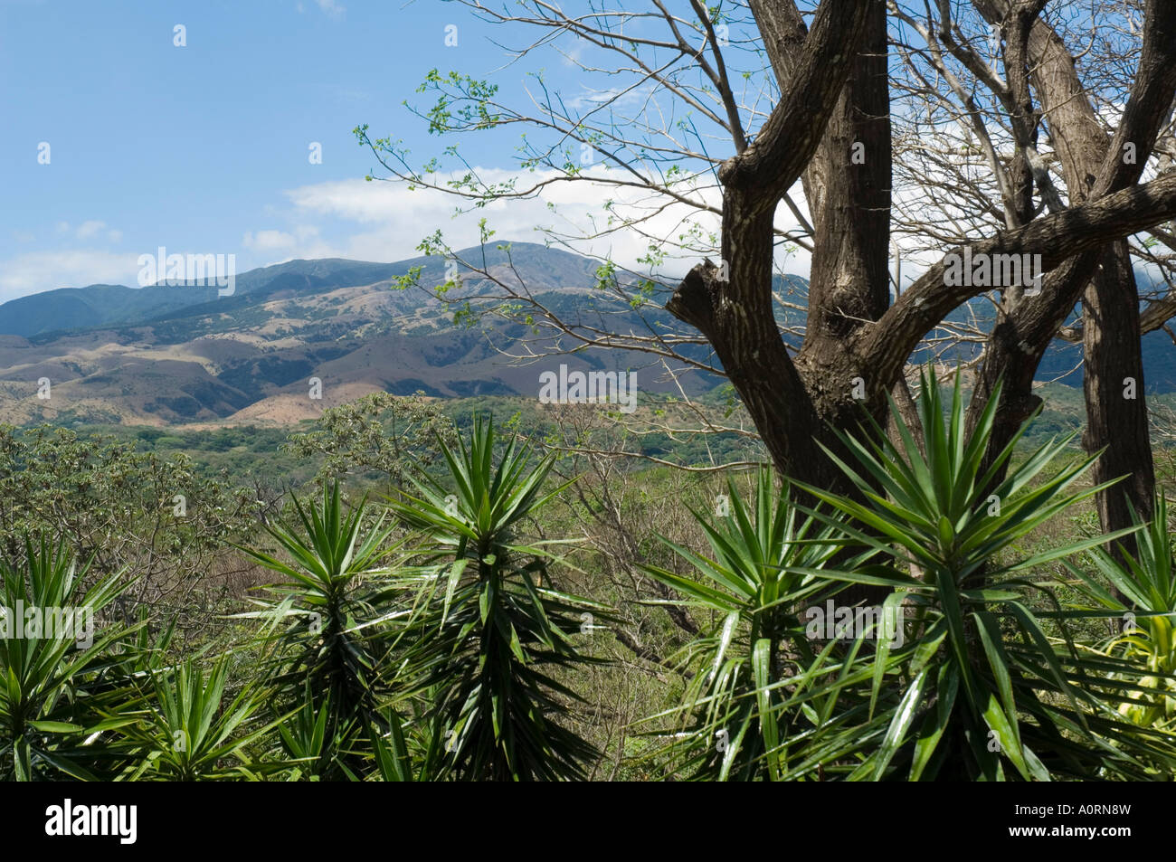 Rincon Volcano from the Hacienda Guachipelin near Rincon de la Vieja ...