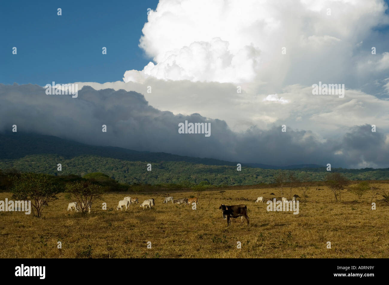 Clouds over the Rincon Volcano near Rincon de la Vieja National Park ...