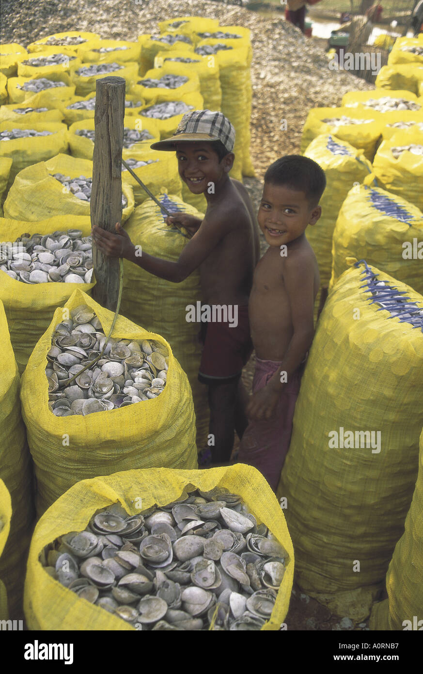 children collecting shells Kampot cambodia Stock Photo - Alamy