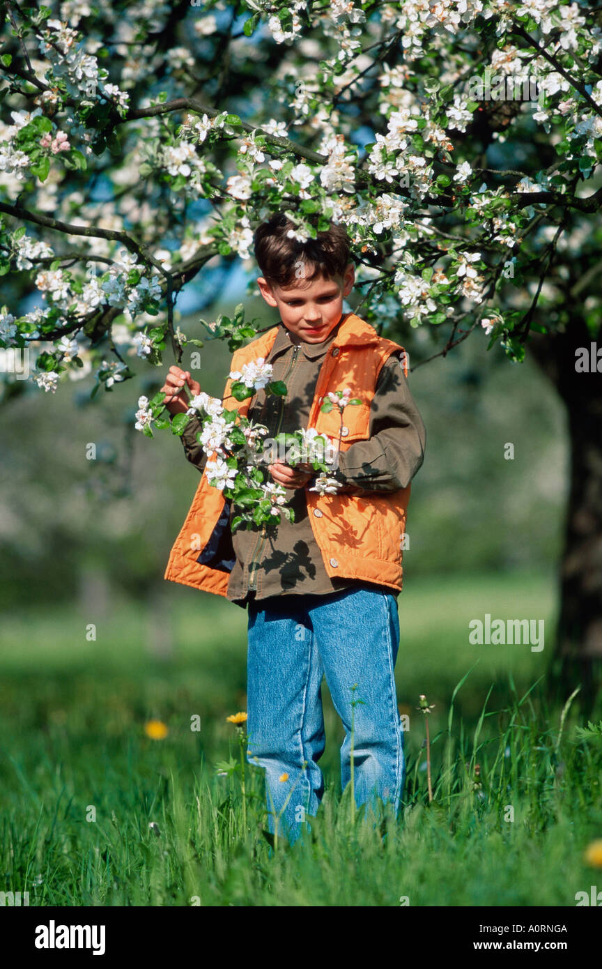 Child under apple tree Stock Photo - Alamy