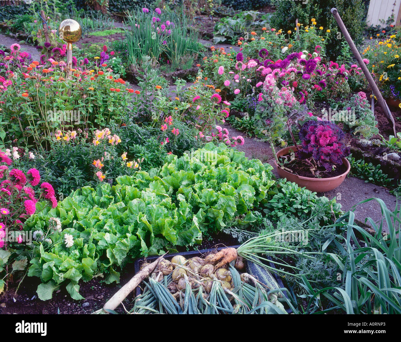 Farmgarden hi-res stock photography and images - Alamy