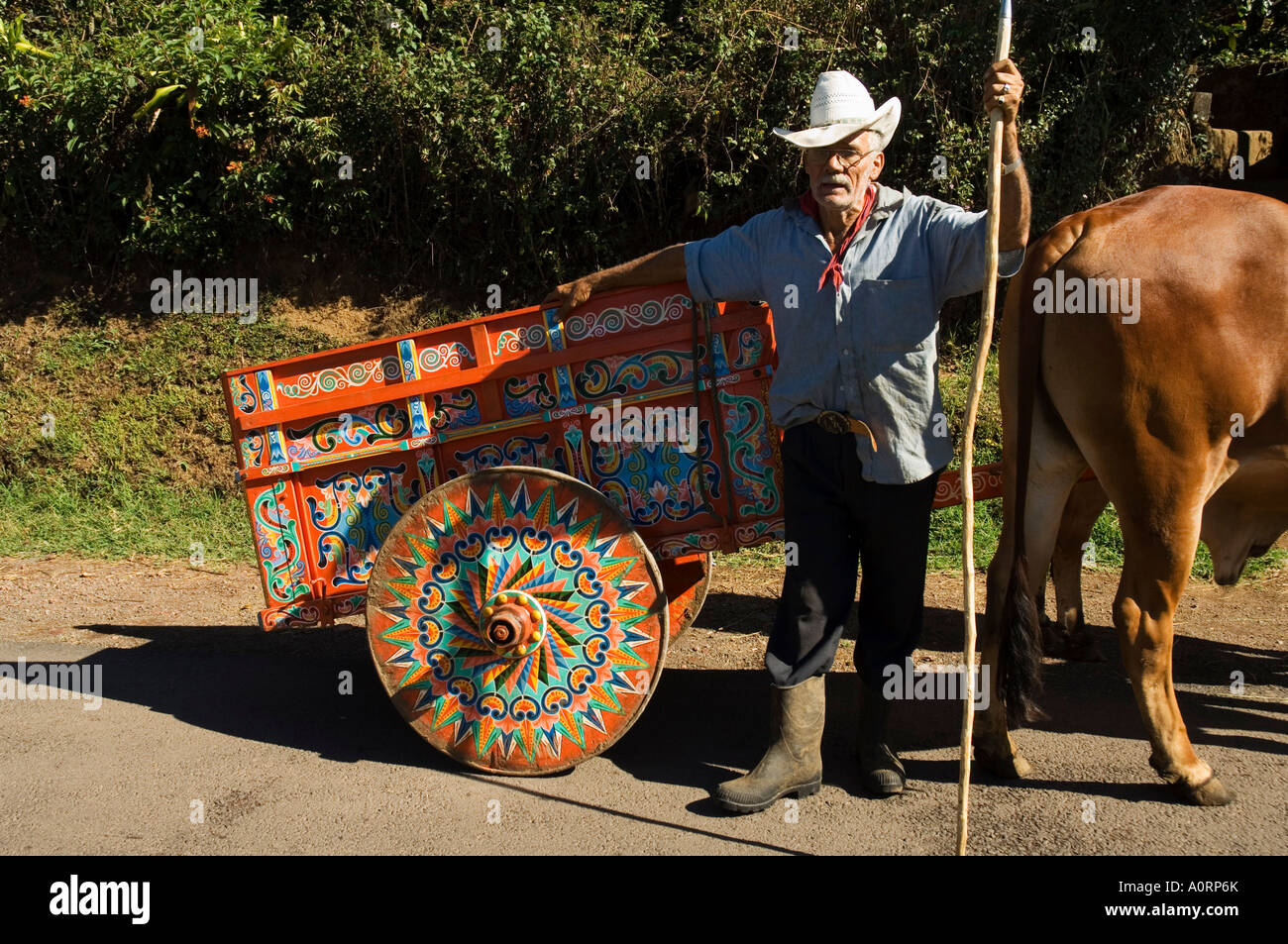 Ox carts costa rica hi-res stock photography and images - Alamy