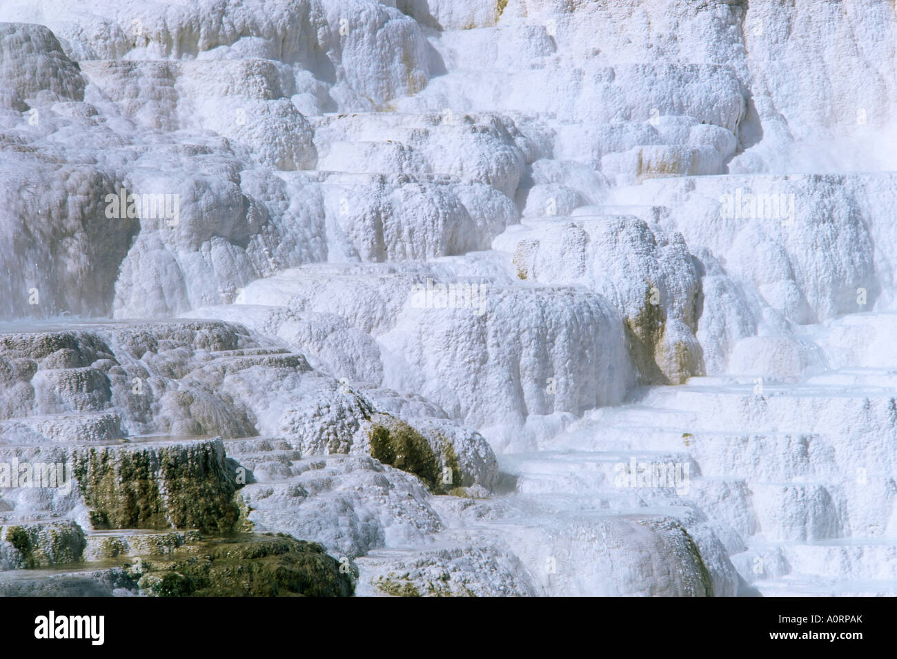 Crystal Spring Mammoth Hot Spring Yellowstone National Park UNESCO ...