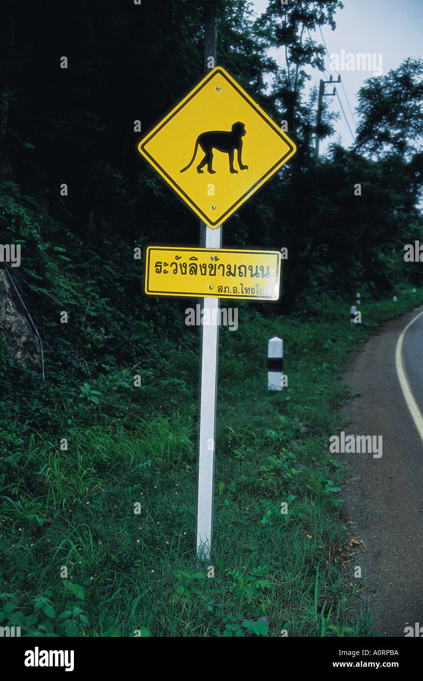 beware monkey road sign Thailand Stock Photo - Alamy