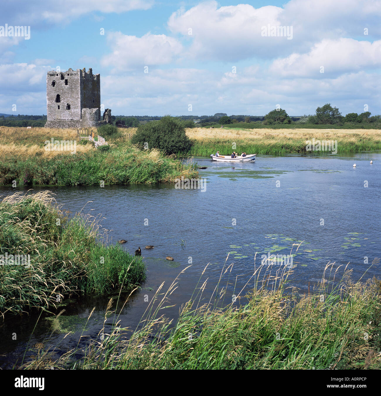 Threave Island and castle Dumfries and Galloway Scotland United Kingdom ...