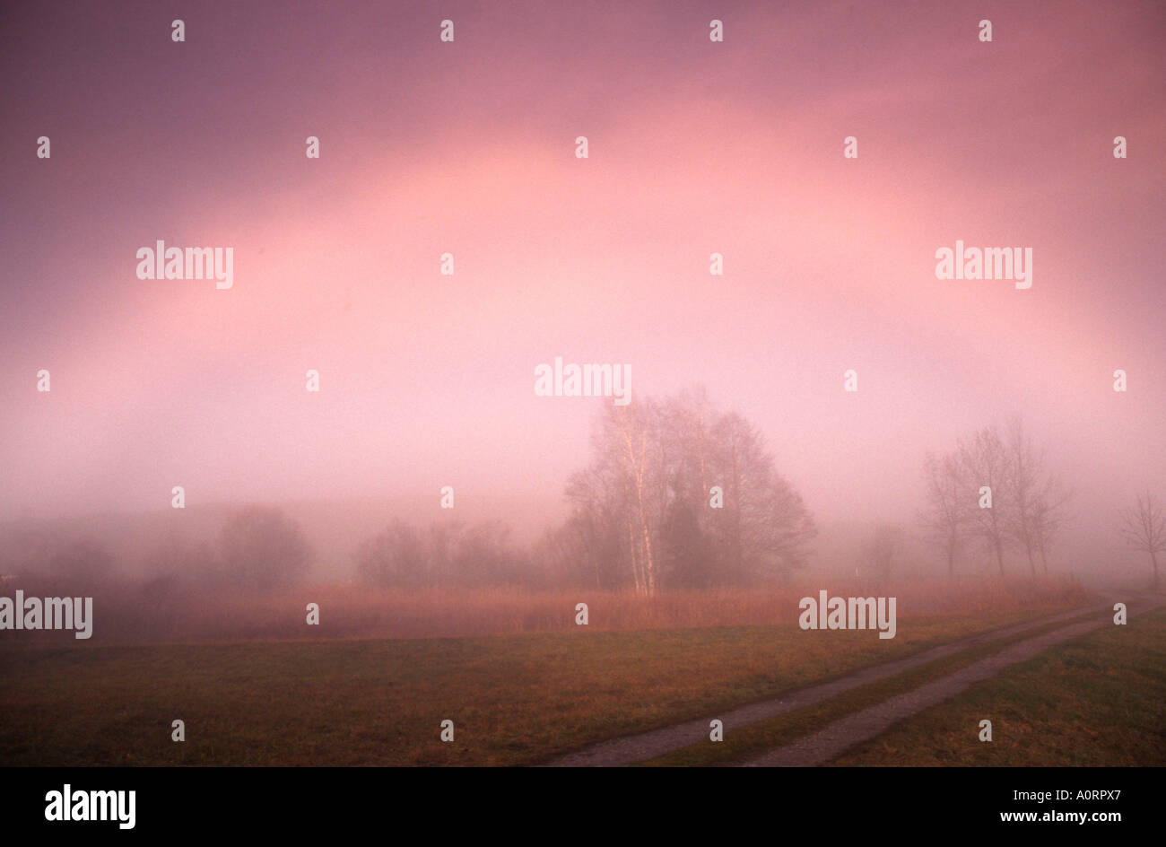 Mistbow High Resolution Stock Photography and Images - Alamy