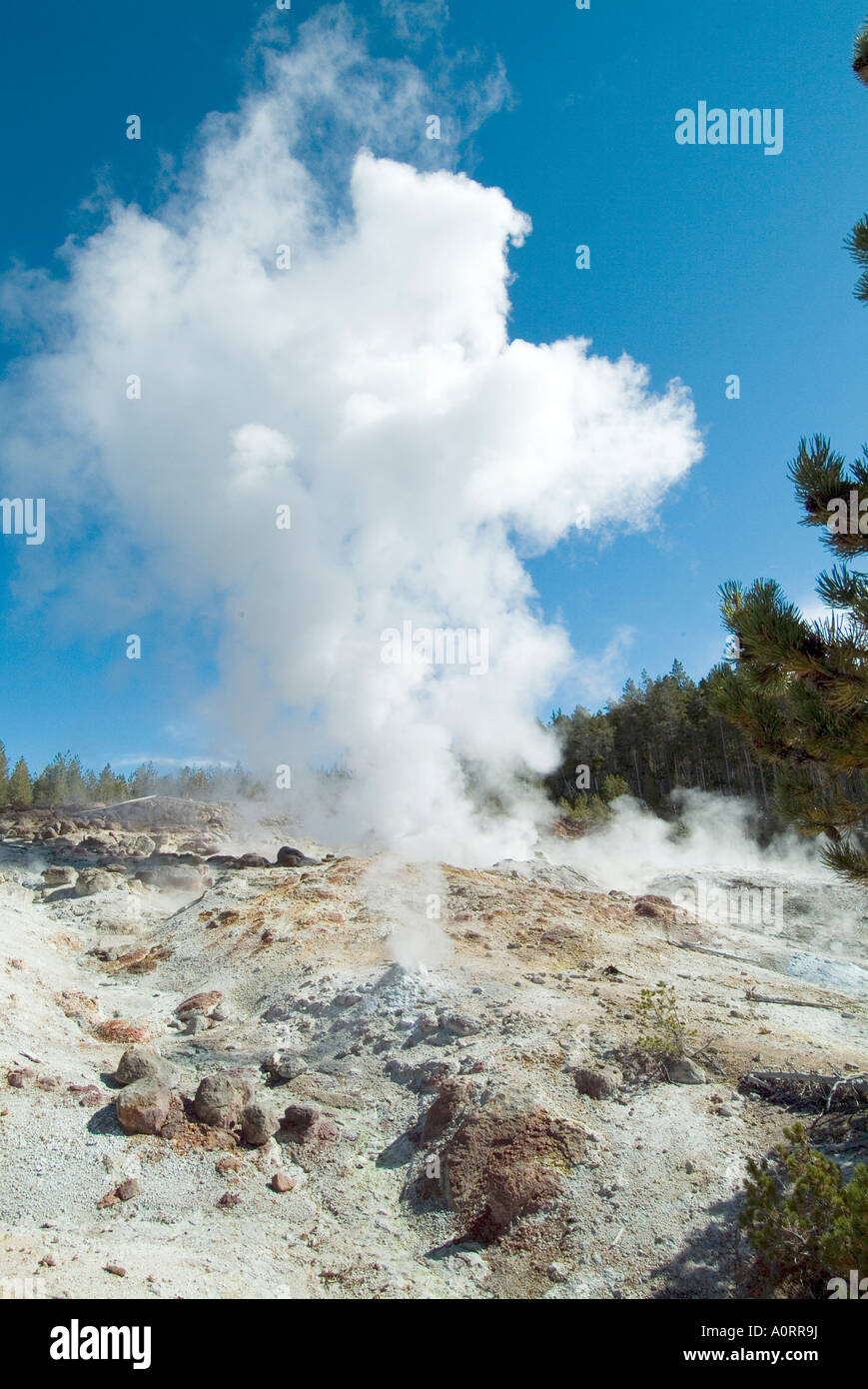 Norris Geysers Yellowstone National Park UNESCO World Heritage Site ...