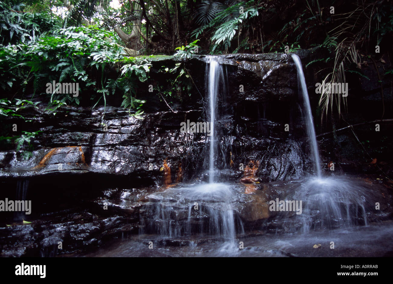 Two small waterfalls in the Japanese jungles of Okinawa Japan Stock ...