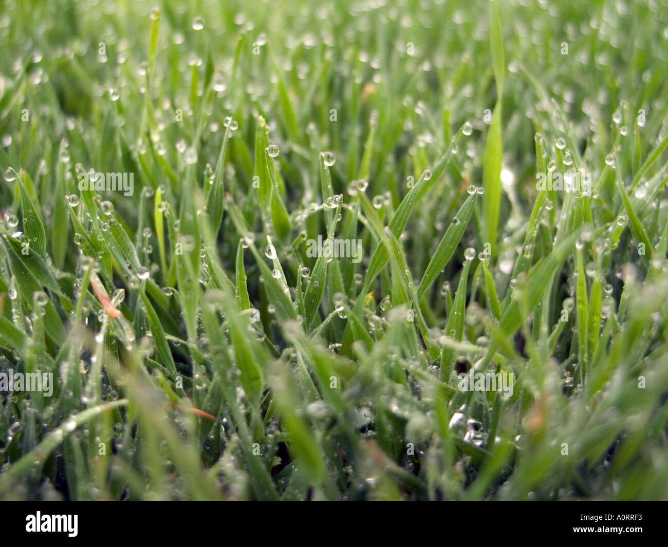 Grass on the edges hi-res stock photography and images - Alamy