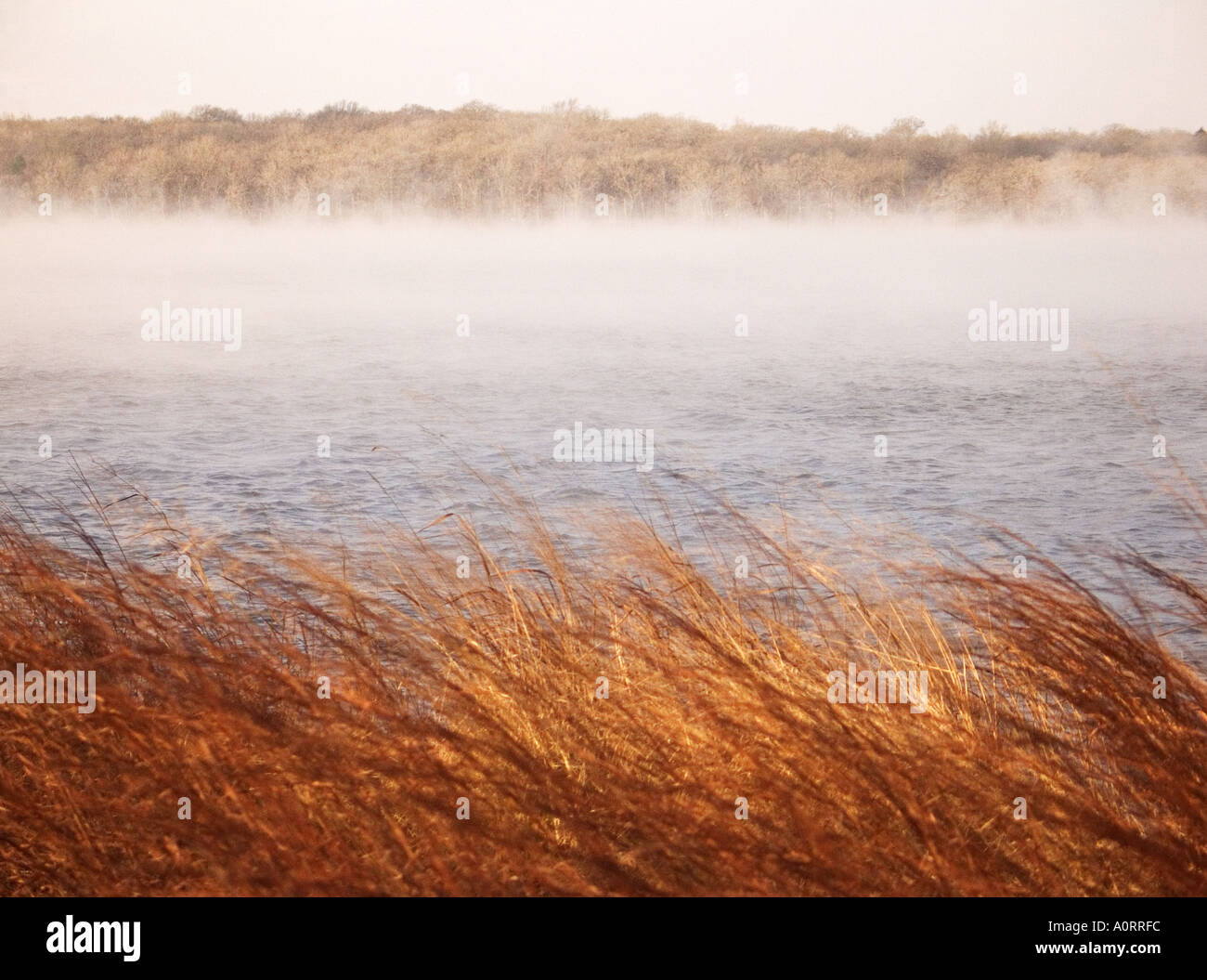 Mist lake texas hi-res stock photography and images - Alamy