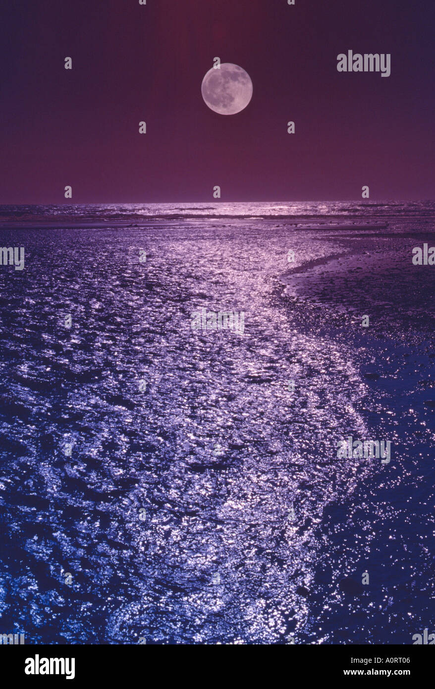 Small moonlit stream hi-res stock photography and images - Alamy