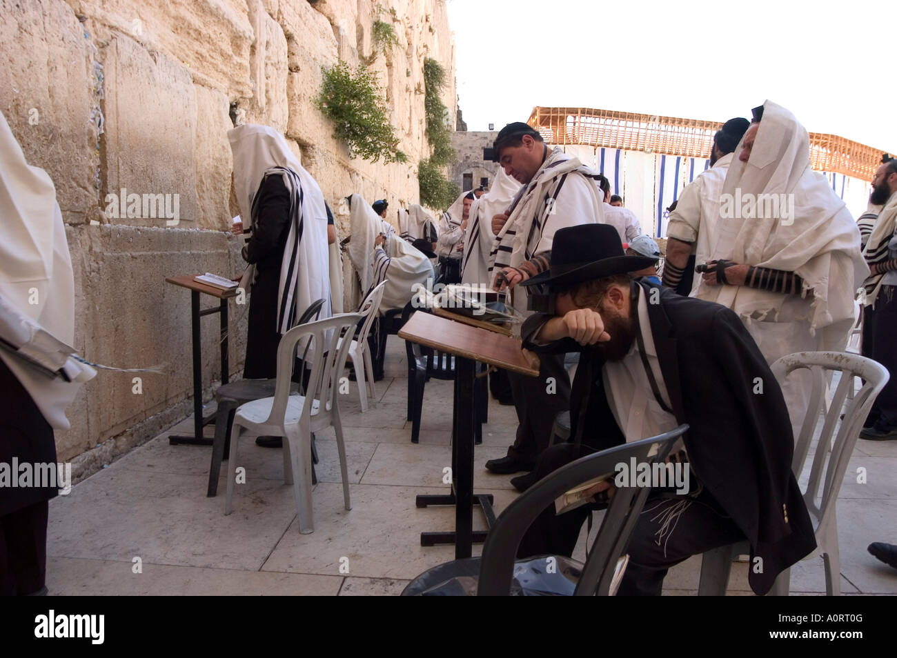 Praying at the Western Wailing Wall Old Walled City Jerusalem Israel ...
