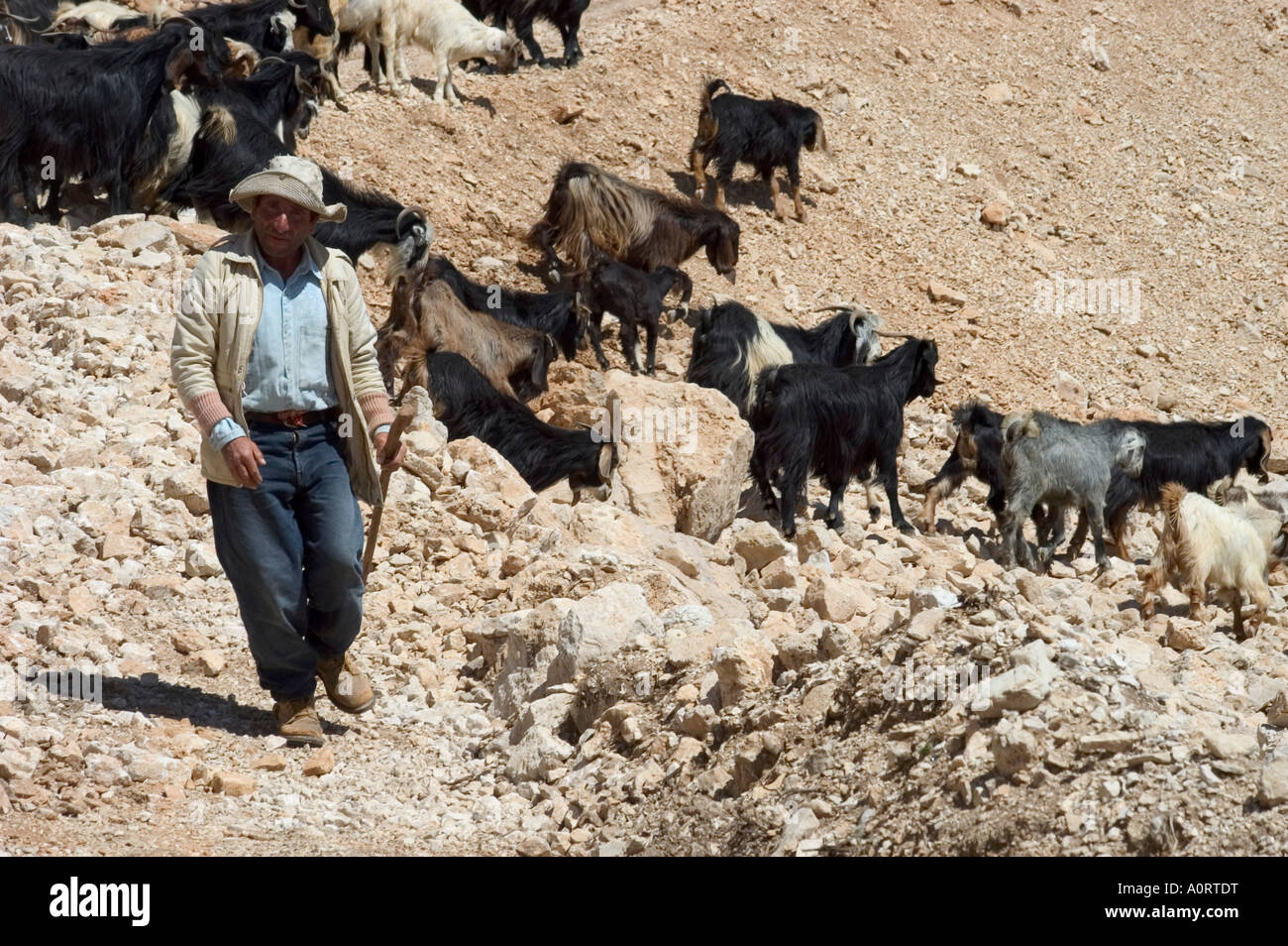 Makmel hi-res stock photography and images - Alamy