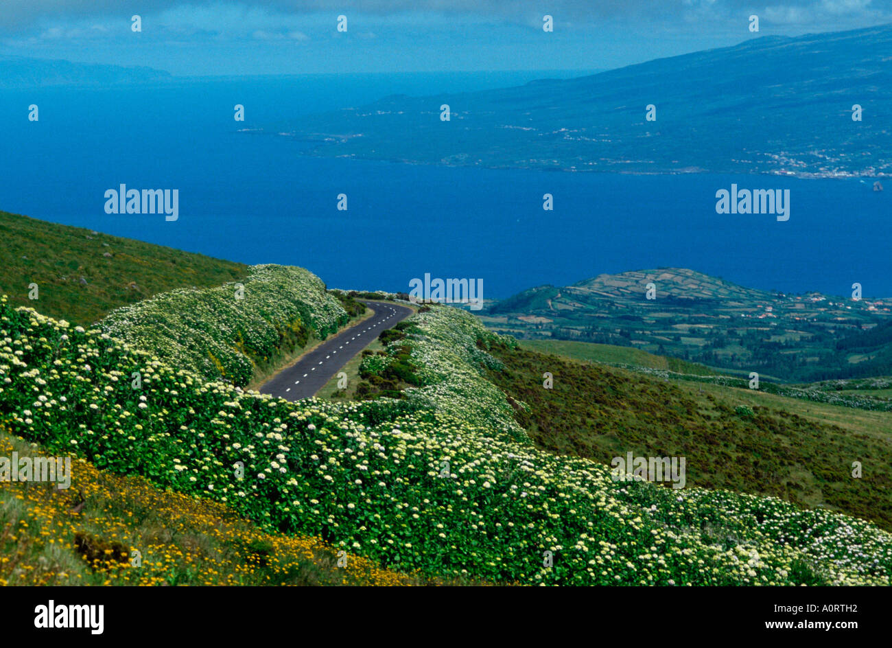 Coast / Island Faial / Kueste / Insel Faial Stock Photo - Alamy