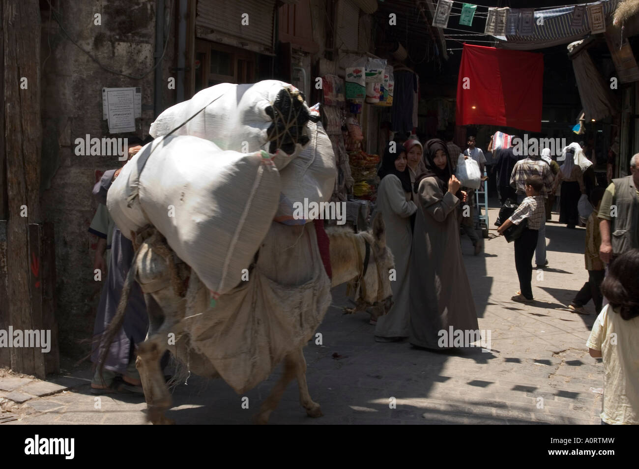 Donkey transporting supplies Aleppo Haleb Syria Middle East Stock Photo ...