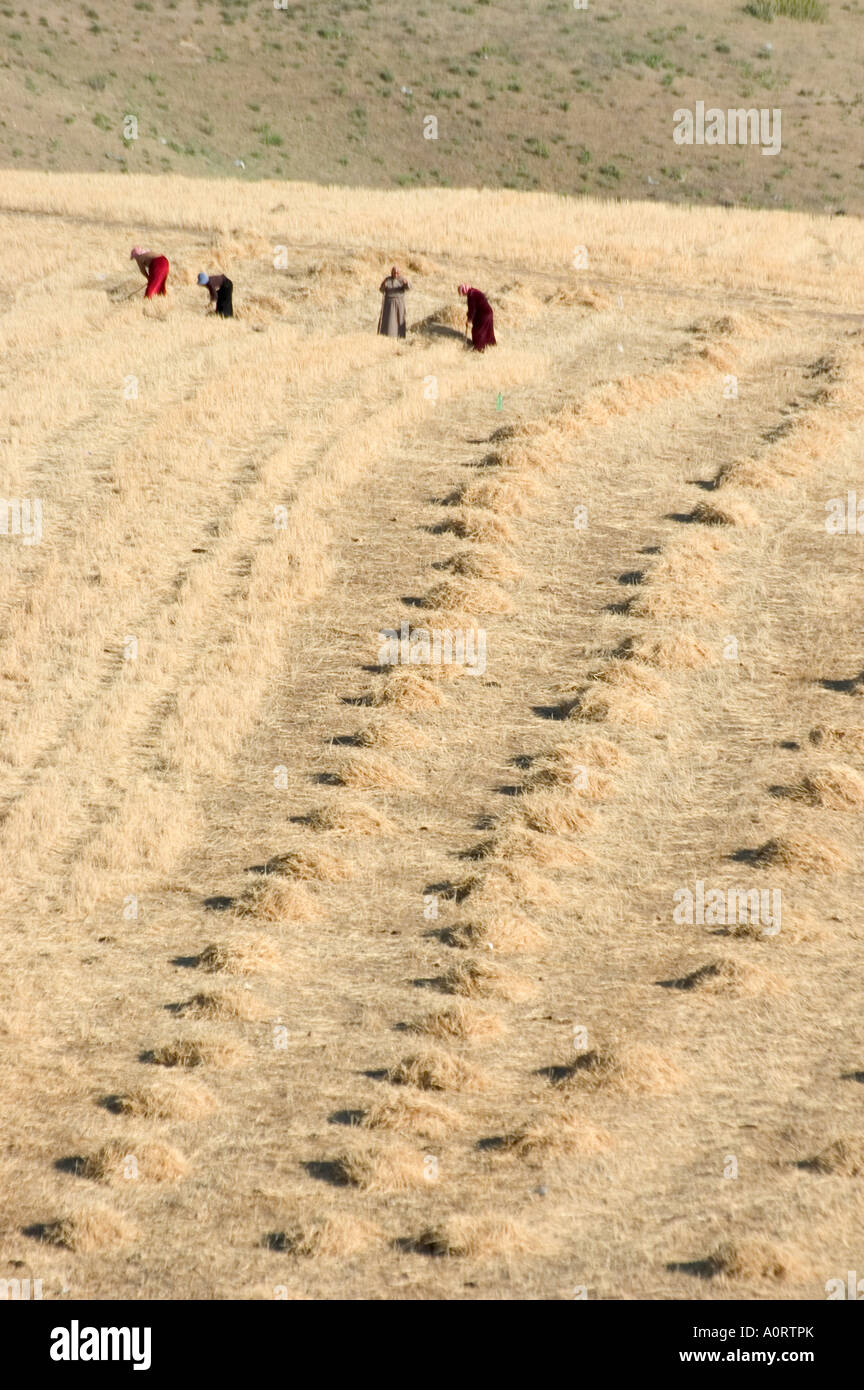 Apamea aerial hi-res stock photography and images - Alamy