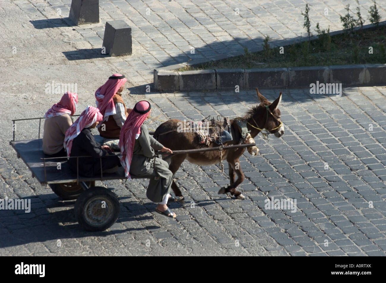 Arab men in donkey cart Bosra Syria Middle East Stock Photo - Alamy
