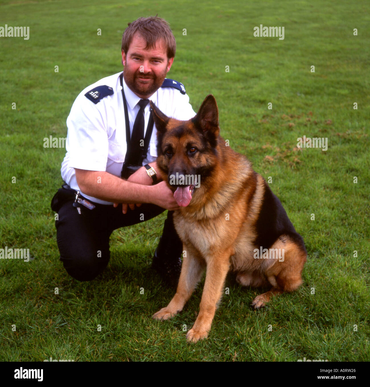 Police Officer Dog Handler and German Shepherd Dog Stock Photo - Alamy