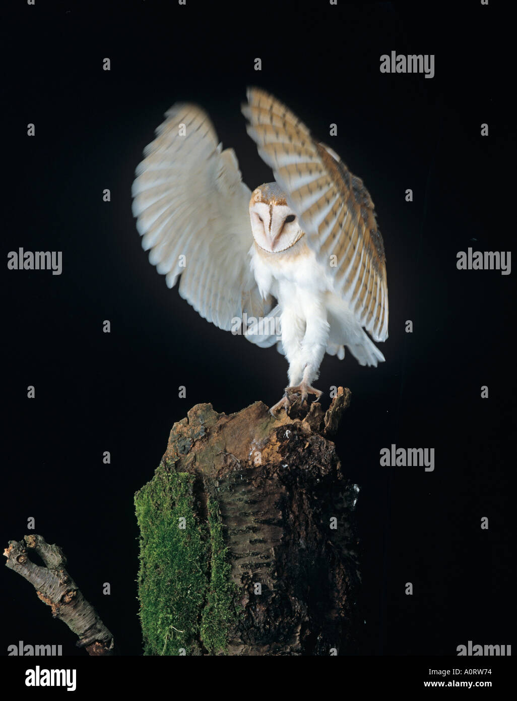 Rough barns hi-res stock photography and images - Alamy