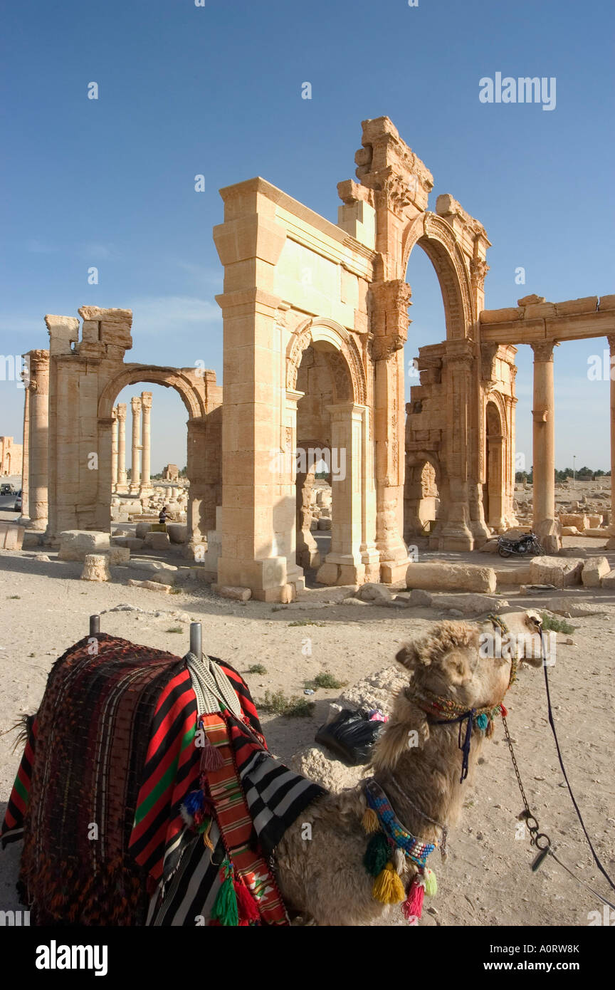 Tourist camel ride monumental arch archaelogical ruins Palmyra UNESCO ...
