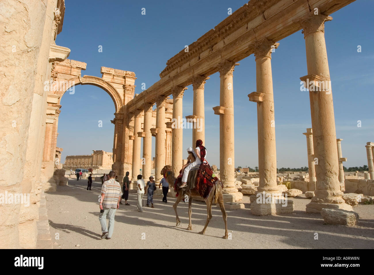 Tourist camel ride monumental arch archaelogical ruins Palmyra UNESCO ...