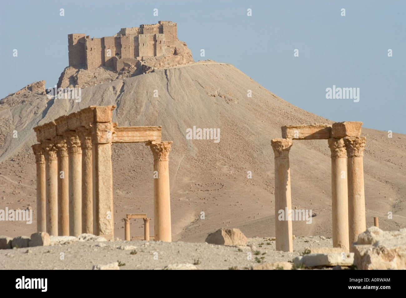 Qala at ibn Maan Citadel Castle and archaelogical ruins Palmyra UNESCO ...