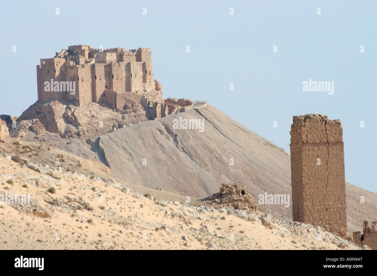 Qala at ibn Maan Citadel Castle Palmyra Syria Middle East Stock Photo ...