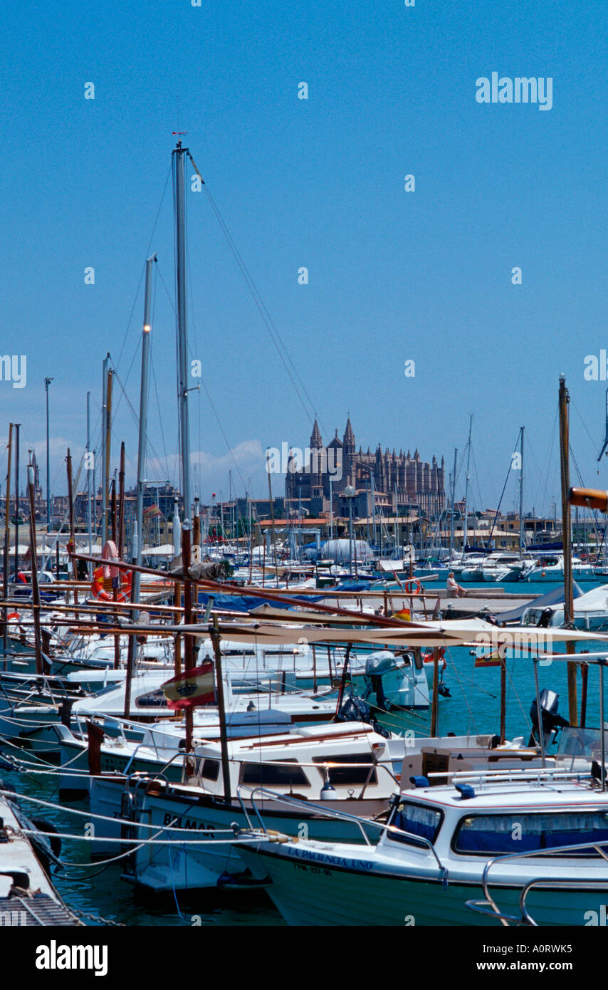 Boats in harbour / Palma / Boote im Hafen Stock Photo - Alamy