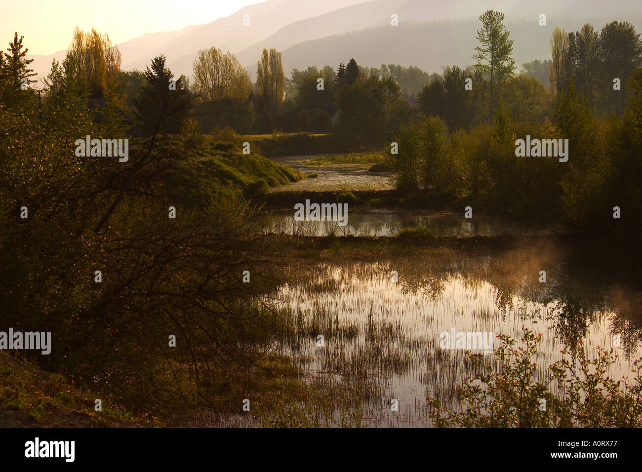 Mist rising from pond hi-res stock photography and images - Alamy